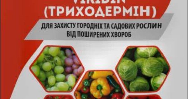 Біофунгіцид Триходермін , купити Біофунгіцид Триходермін 20 г ENZIM Agro™ ️ ціна 2025